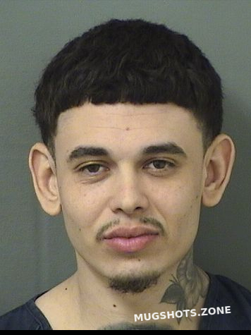 CLEMENTS JONATHAN SKYLER 03/17/2025 - Palm Beach County Mugshots Zone