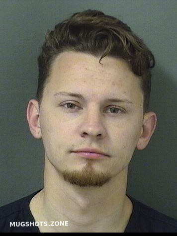 WISEMAN DANIEL CHRISTOPHER 03/30/2025 - Palm Beach County Mugshots Zone