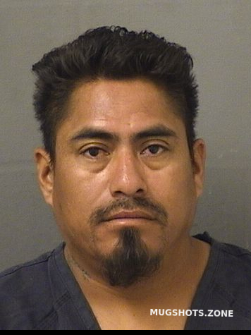 MATIAS DAVID ANDRES 04/19/2025 - Palm Beach County Mugshots Zone