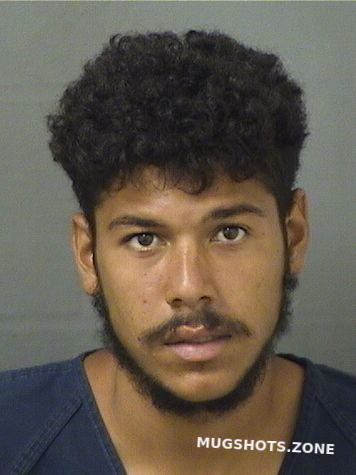 LOPEZ DORIAN J 04/22/2025 - Palm Beach County Mugshots Zone