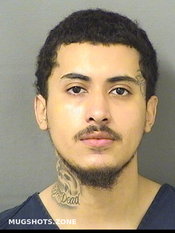 GONZALESANTUNEZ STEVE ALEXANDER 05/10/2025 - Palm Beach County Mugshots ...