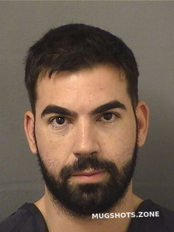 BLAGA CALIN VASILE 05/11/2025 - Palm Beach County Mugshots Zone