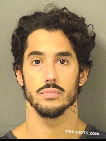 CONSTANTINO MATTHEW N 05/28/2025 - Palm Beach County Mugshots Zone