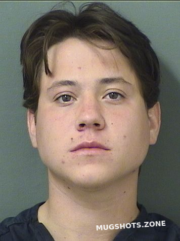 SYBIL BRAYDEN PATRICK 06/16/2025 - Palm Beach County Mugshots Zone