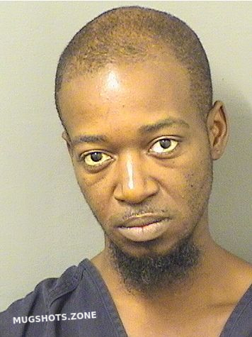 NAPIER ALBERT LEWIS III 07/06/2025 - Palm Beach County Mugshots Zone