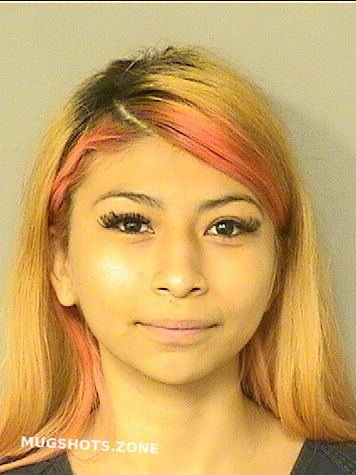 CASTILLO ANAYA 09/15/2025 - Palm Beach County Mugshots Zone
