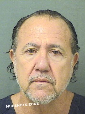 MAIDA MARK ANTHONY 11/01/2025 - Palm Beach County Mugshots Zone