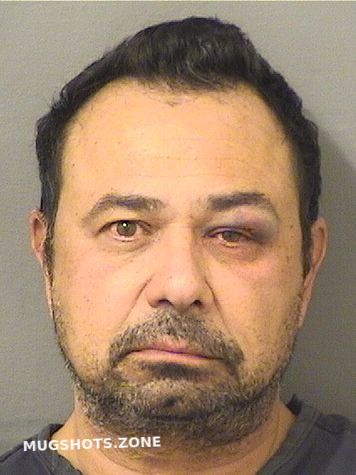 THARP REGINALD LOUIS 01/01/2026 - Palm Beach County Mugshots Zone