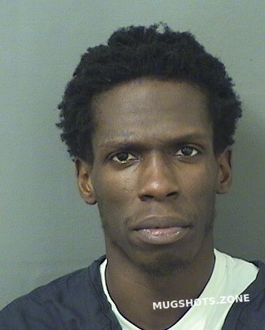 MICHAUD BERNE ALLY 01/27/2026 - Palm Beach County Mugshots Zone