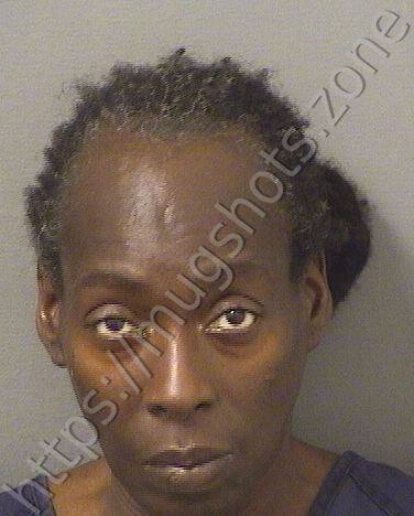 LESLIE FIONA REMA 06/03/2026 - Palm Beach County Mugshots Zone