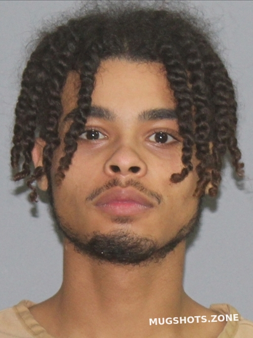 JACKSON DION HAYES 01/05/2021 - Palo Pinto County Mugshots Zone