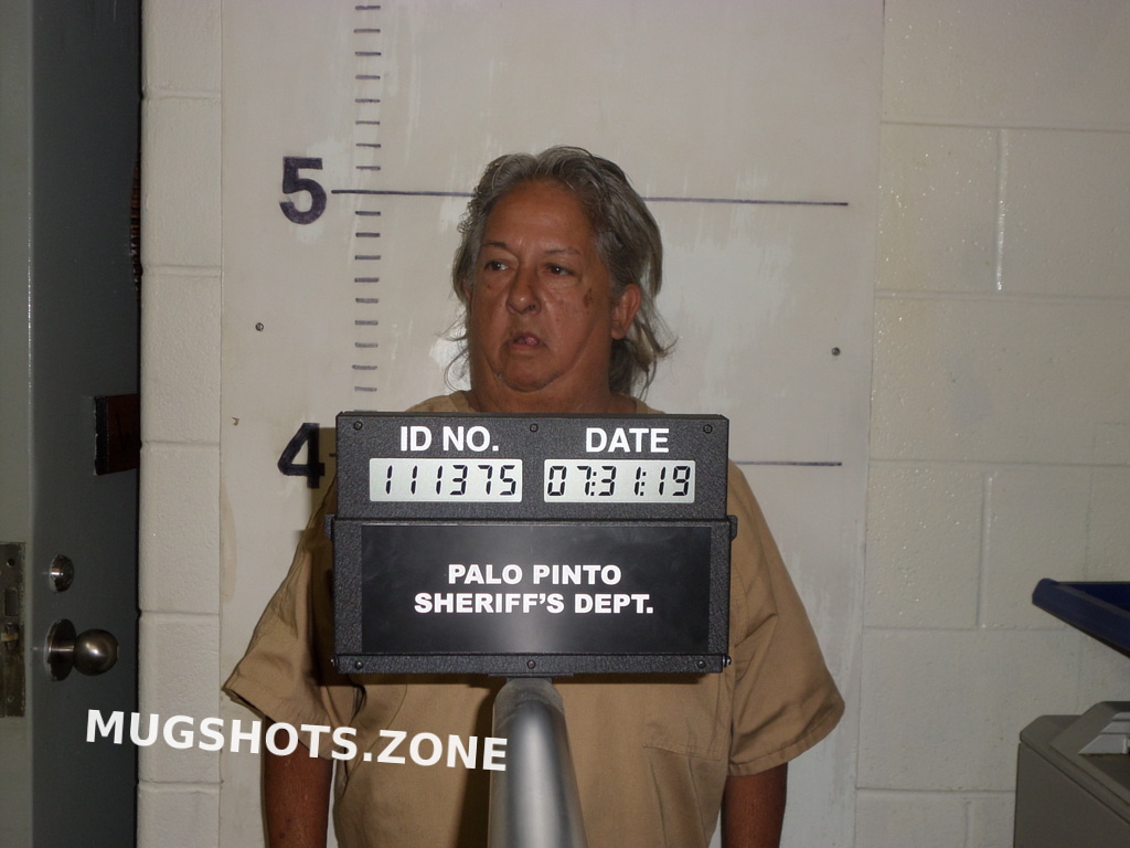 WRIGHT DEBRA MARIE 01/19/2021 - Palo Pinto County Mugshots Zone