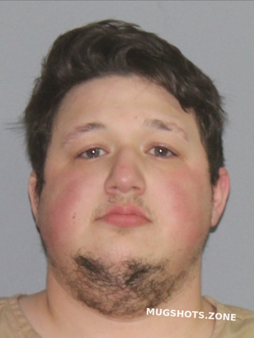 THOMPSON JOSEPH BAILEY 01/21/2021 - Palo Pinto County Mugshots Zone