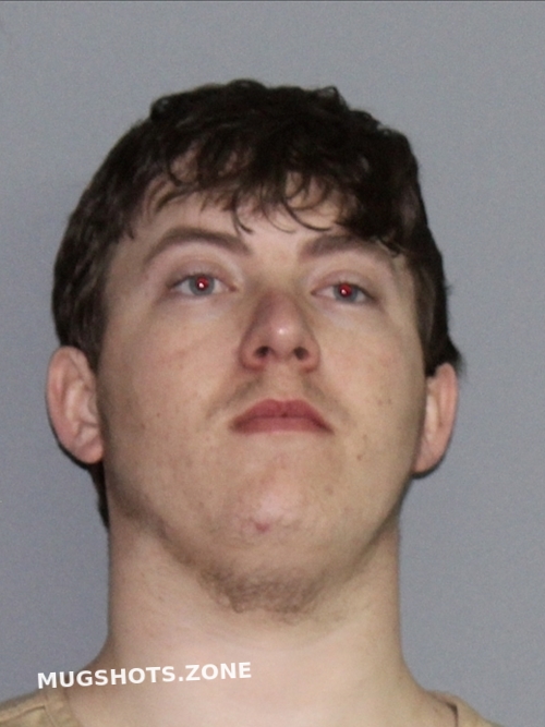 LYON TYLER AARON 02/14/2021 - Palo Pinto County Mugshots Zone