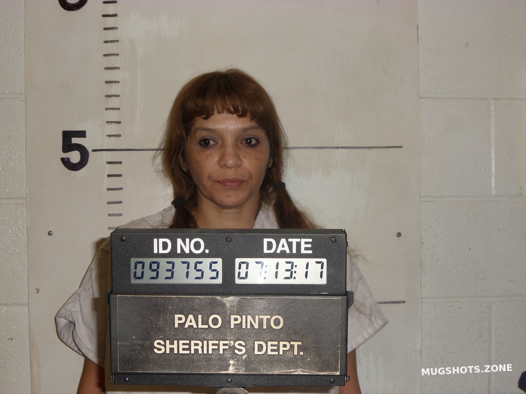RENDON LISA ANNA 06/18/2021 - Palo Pinto County Mugshots Zone