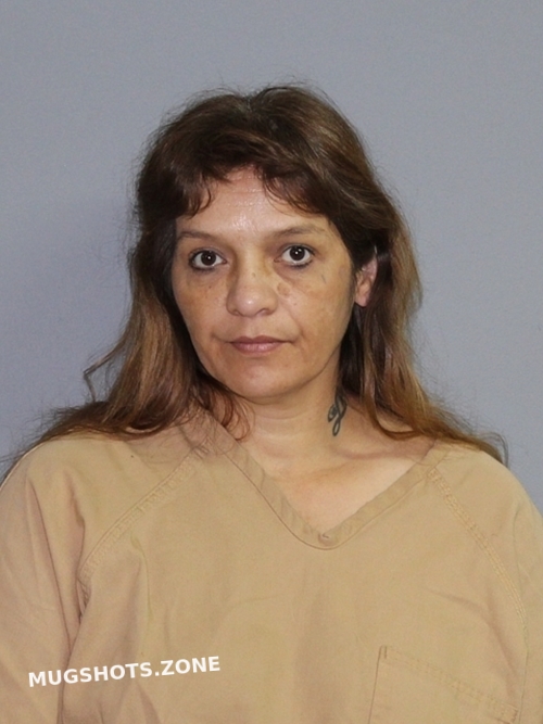 RENDON LISA ANNA 03/03/2022 - Palo Pinto County Mugshots Zone