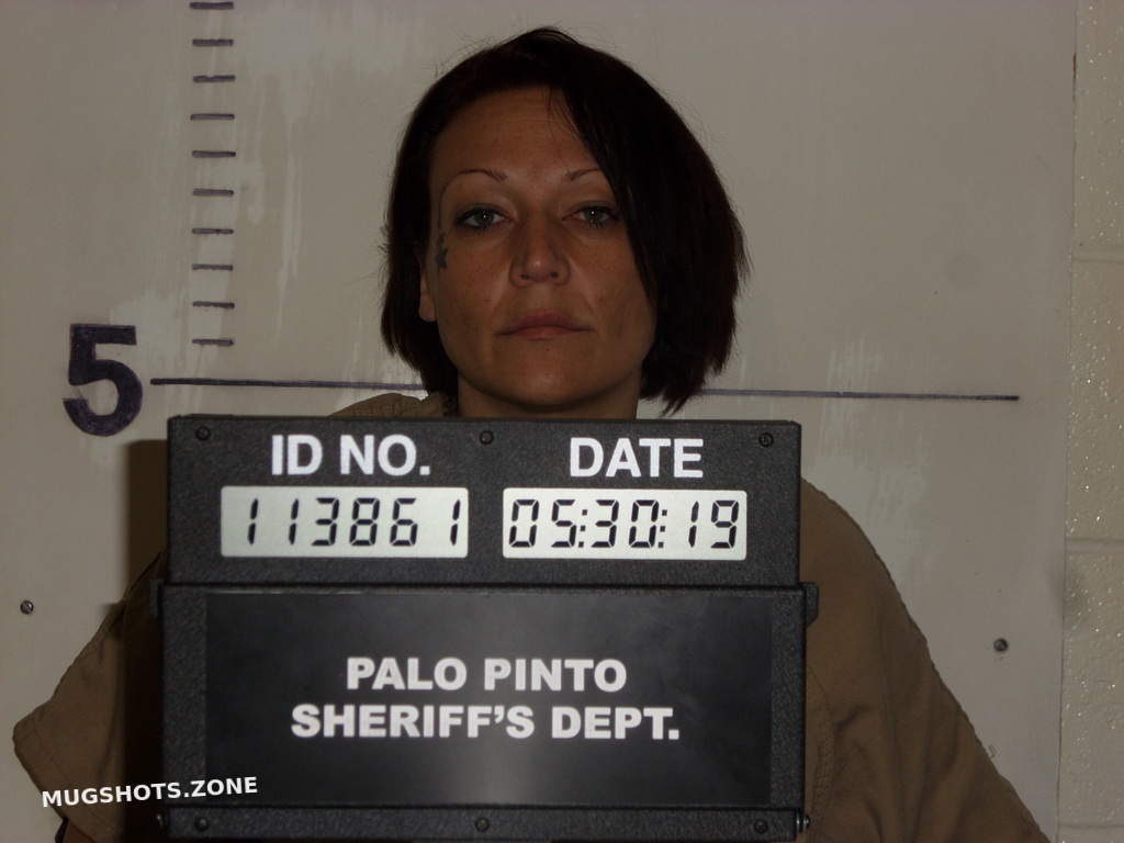 SMITH TESSIE LOUISE 04/14/2022 - Palo Pinto County Mugshots Zone