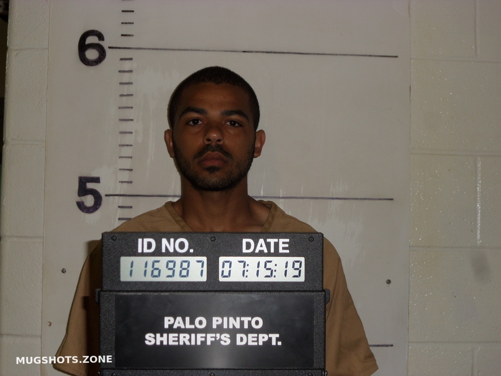 CAMDEN JERMAINE NATHANIEL 06/29/2022 - Palo Pinto County Mugshots Zone