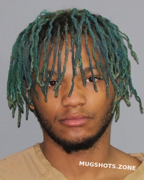 FAIRLEY SHAMARION RAIQUAN 08/07/2022 - Palo Pinto County Mugshots Zone