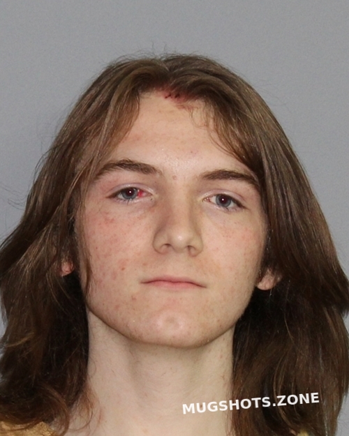 WEEMS BRAYDEN NEAL 08/11/2022 - Palo Pinto County Mugshots Zone