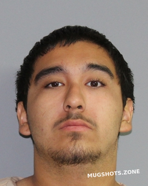 SORIA GEORGE LUIS JR 08/24/2022 - Palo Pinto County Mugshots Zone