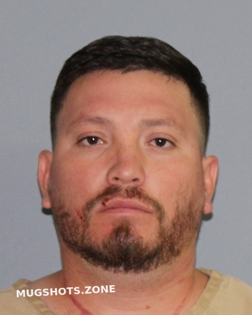 SILVA LEANDRO 09/25/2022 - Palo Pinto County Mugshots Zone