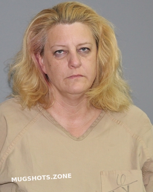 EVERETT KIMBERLY DAWN 10/01/2022 - Palo Pinto County Mugshots Zone