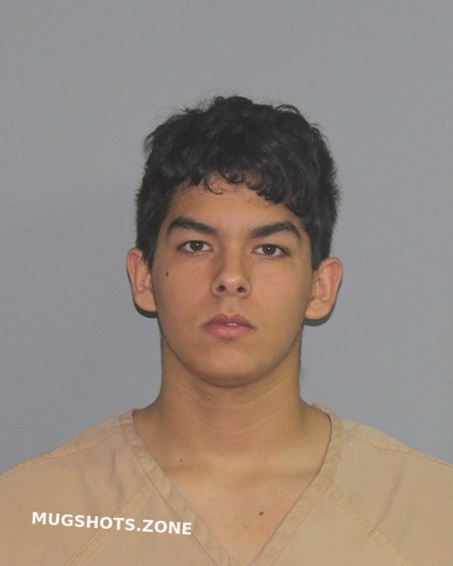 WARD CLAYTON ROY 11/17/2022 - Palo Pinto County Mugshots Zone