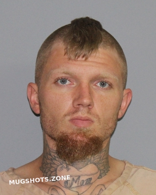 HOWARD DONNIE ANDREW JAMES 01/19/2023 - Palo Pinto County Mugshots Zone