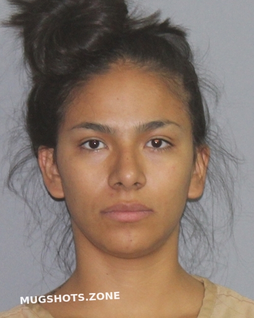 GONZALEZ PERLA YUDIT 01/26/2023 - Palo Pinto County Mugshots Zone