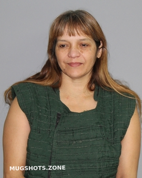 RENDON LISA ANNA 01/26/2023 - Palo Pinto County Mugshots Zone