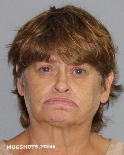 HOUTZ BRENDA LYNN 02/18/2023 - Palo Pinto County Mugshots Zone