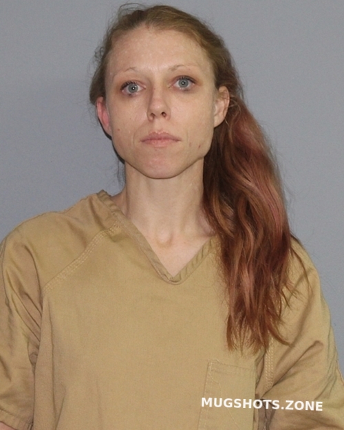 ETHRIDGE SHELLY RENEA 02/25/2023 - Palo Pinto County Mugshots Zone