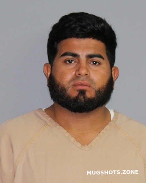 REYES-RIOS ALFREDO 06/01/2023 - Palo Pinto County Mugshots Zone