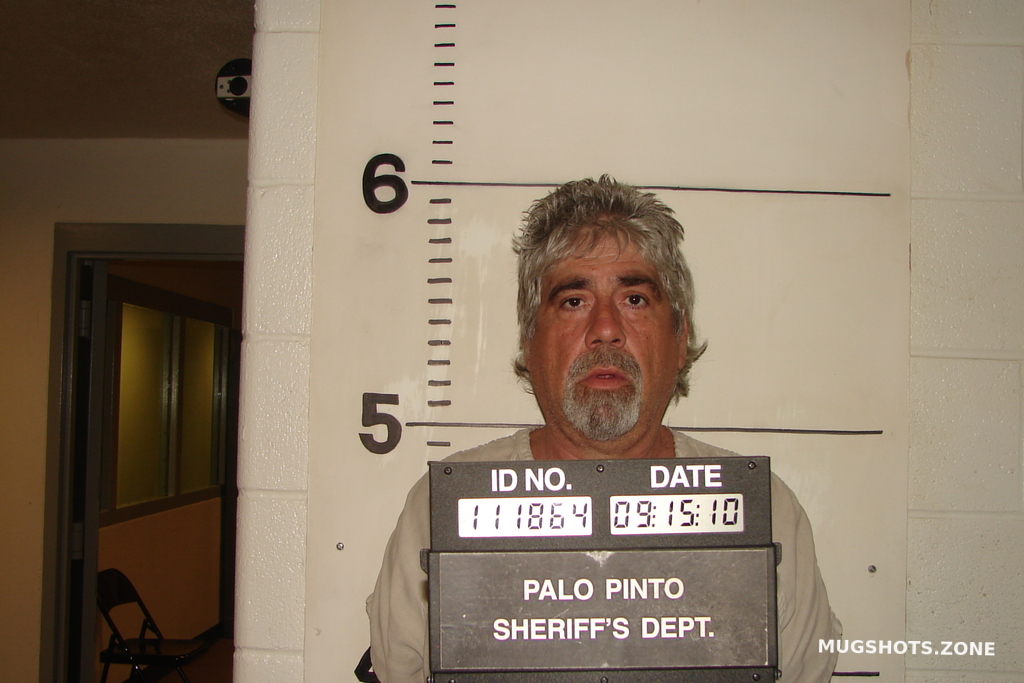 MATHEWS TERRY RAY 07/19/2023 - Palo Pinto County Mugshots Zone