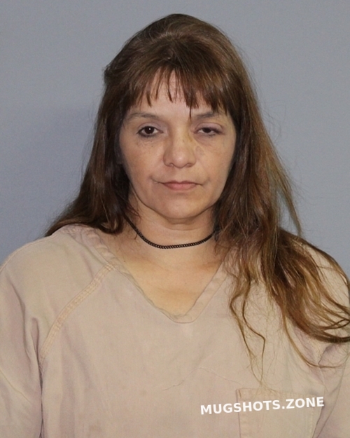 RENDON LISA ANNA 08/02/2023 - Palo Pinto County Mugshots Zone