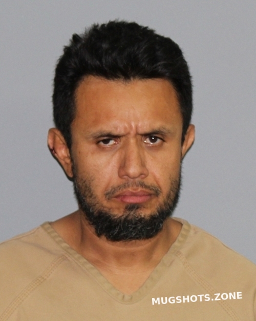 GUEVARA MARIO ERNESTO 08/25/2023 - Palo Pinto County Mugshots Zone