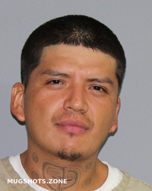 TOVAR LEOPOLDO 12/13/2023 - Palo Pinto County Mugshots Zone