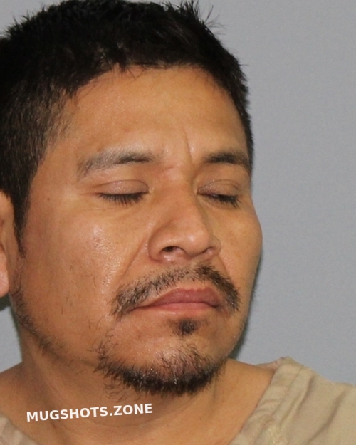 RAMIREZ CESAR AMADOR 01/07/2024 - Palo Pinto County Mugshots Zone