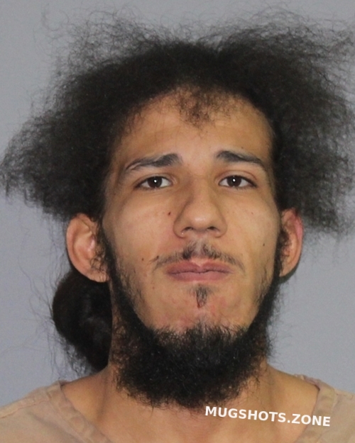 WILSON DEVIN THOMAS 01/08/2024 - Palo Pinto County Mugshots Zone