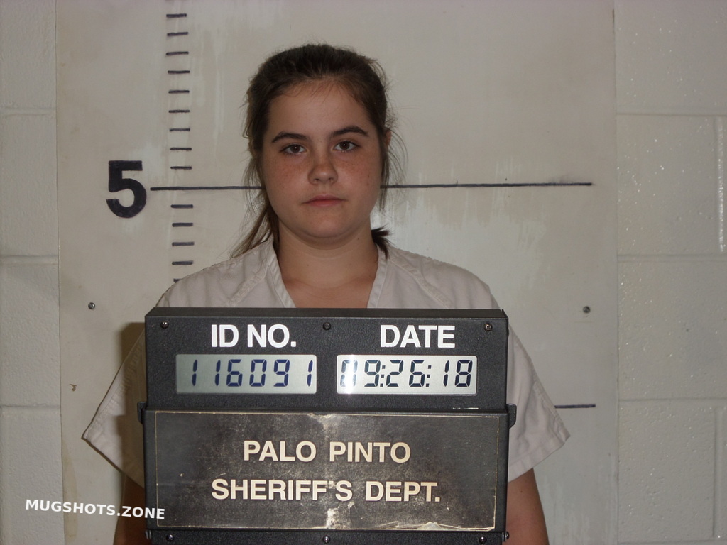 THOMPSON ASHLEY NICOLE 02/03/2024 - Palo Pinto County Mugshots Zone