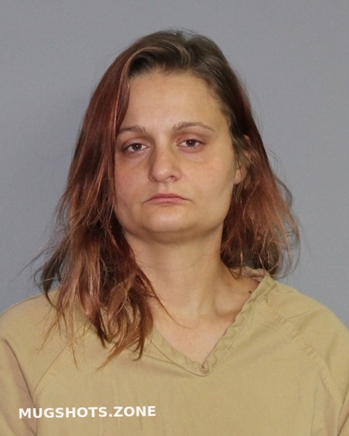 ROOK BRITTANY PAIGE 02/13/2024 - Palo Pinto County Mugshots Zone