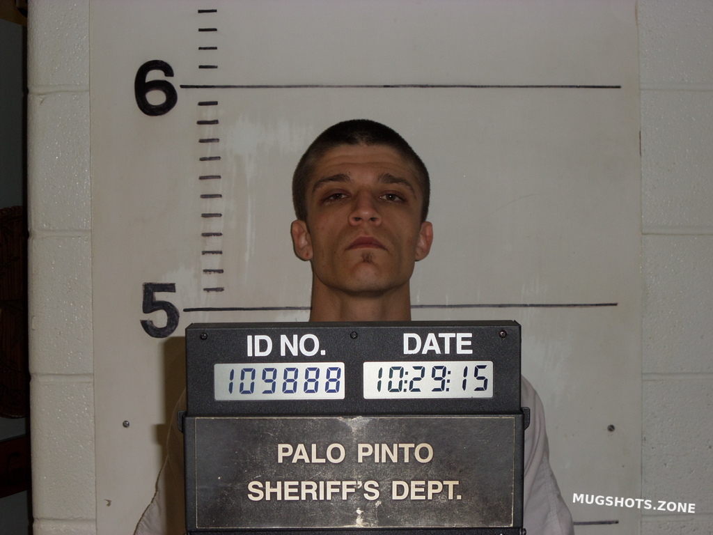 MCCREARY DUSTIN GRANT 03/19/2024 - Palo Pinto County Mugshots Zone