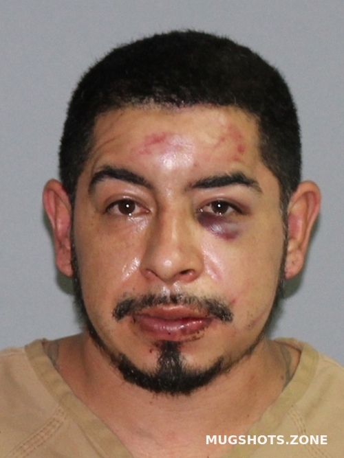BARCENAS MARTIN B. 03/23/2024 - Palo Pinto County Mugshots Zone