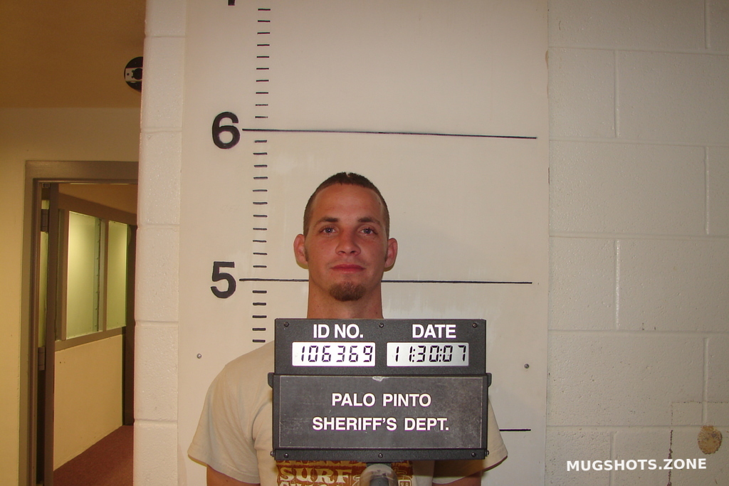 PILGRIM JOE NEAL 04/03/2024 - Palo Pinto County Mugshots Zone