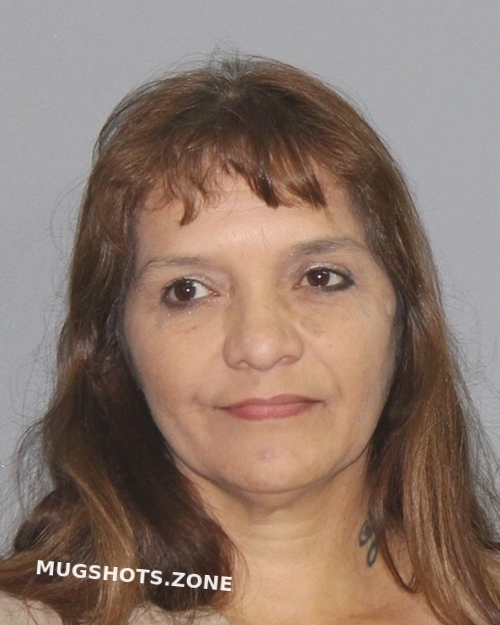 RENDON LISA ANNA 04/03/2024 - Palo Pinto County Mugshots Zone