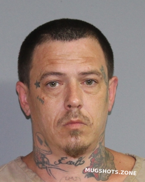 FLEMING ASHLEY MICHAEL 05/06/2024 - Palo Pinto County Mugshots Zone