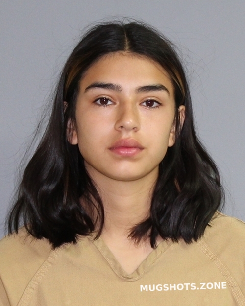 CASTRO BRAYLIE JADE 07/01/2024 - Palo Pinto County Mugshots Zone