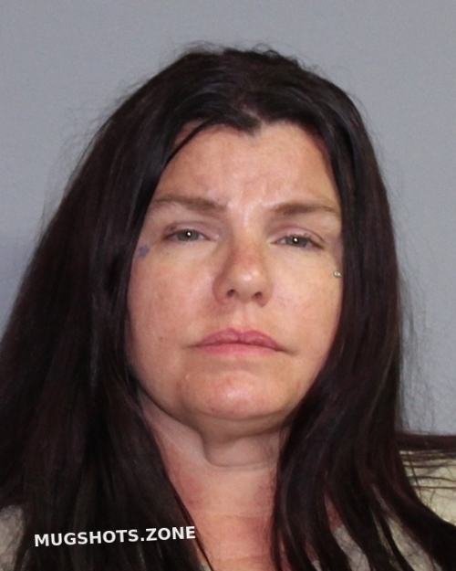 REAVIS JENNIFER GAIL 07/09/2024 - Palo Pinto County Mugshots Zone