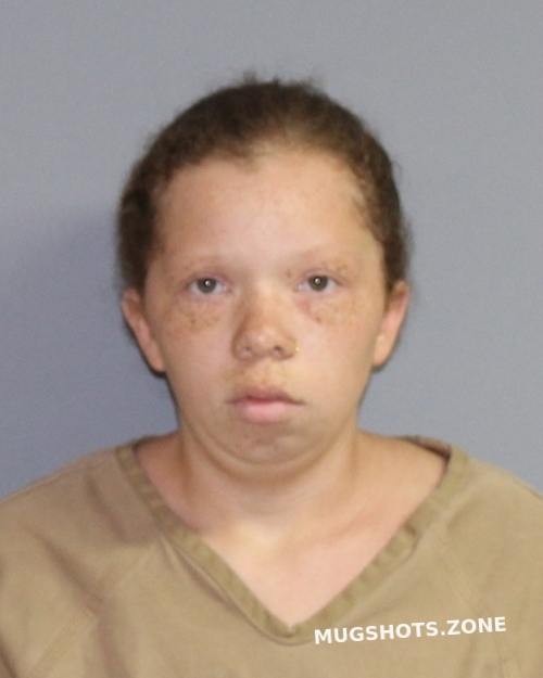 Poole Adreanna Grace Marie 08172024 Palo Pinto County Mugshots Zone